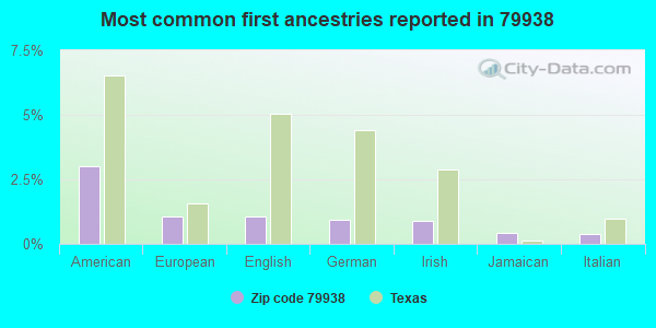 79938 Zip Code (Homestead Meadows North, Texas) Profile - homes ...