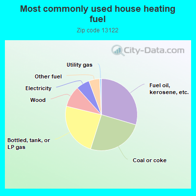 13122 Zip Code (New York) Profile - homes, apartments, schools ...
