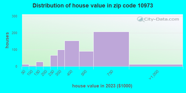10973 Zip Code (New York) Profile - homes, apartments, schools ...