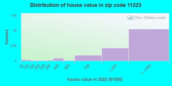 11223 Zip Code (New York, New York) Profile - homes, apartments ...