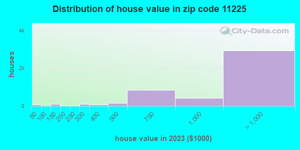 11225 Zip Code (New York, New York) Profile - homes, apartments ...