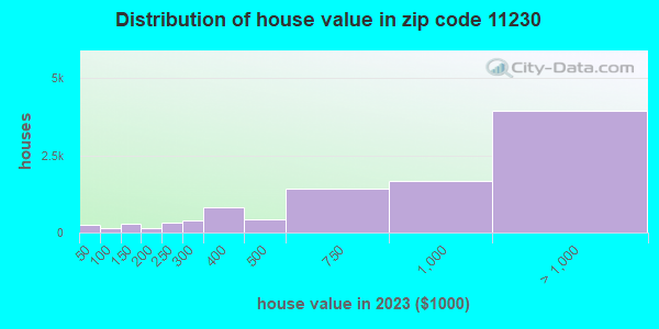 11230 Zip Code (New York, New York) Profile - homes, apartments ...