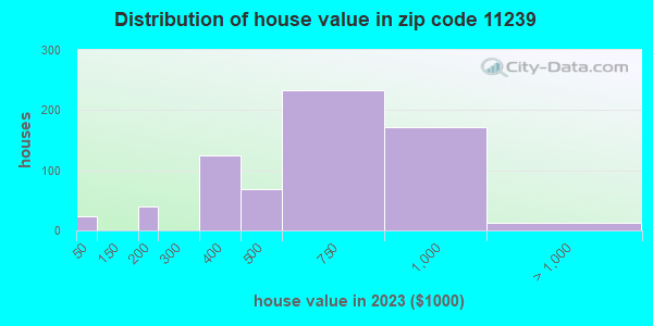 11239 Zip Code (New York, New York) Profile - homes, apartments ...
