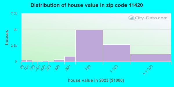 11420 Zip Code (New York, New York) Profile - homes, apartments ...