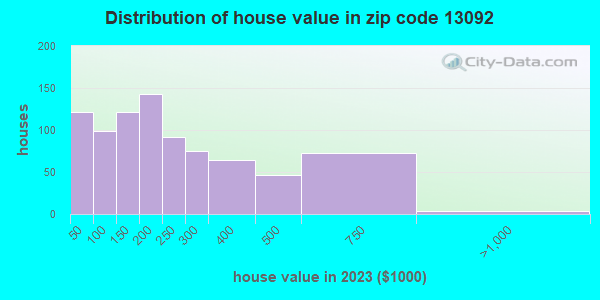 13092 Zip Code (New York) Profile - homes, apartments, schools ...