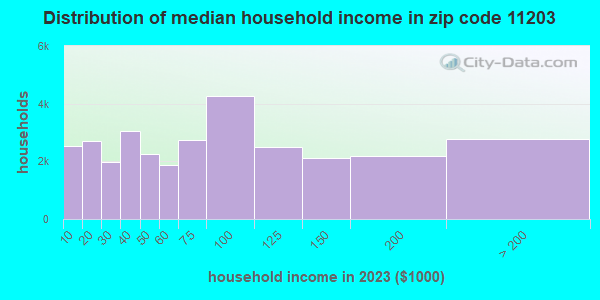 11203 Zip Code (New York, New York) Profile - homes, apartments ...