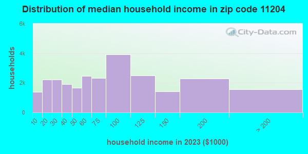 11204 Zip Code (New York, New York) Profile - homes, apartments ...