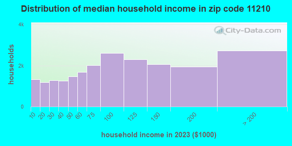 11210 Zip Code (New York, New York) Profile - homes, apartments ...