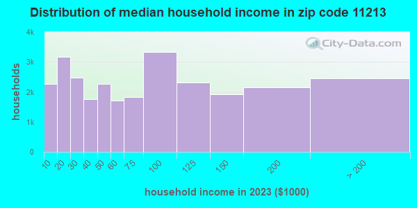 11213 Zip Code (New York, New York) Profile - homes, apartments ...