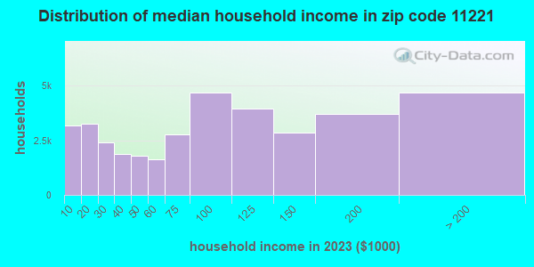 11221 Zip Code (New York, New York) Profile - homes, apartments ...