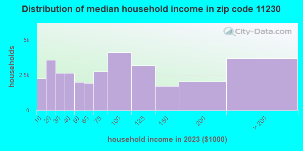 11230 Zip Code (New York, New York) Profile - homes, apartments ...