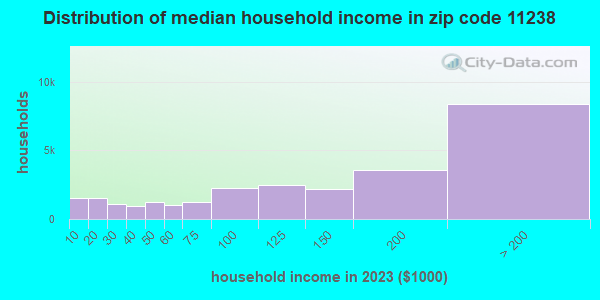 11238 Zip Code (New York, New York) Profile - homes, apartments ...