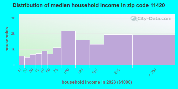 11420 Zip Code (New York, New York) Profile - homes, apartments ...
