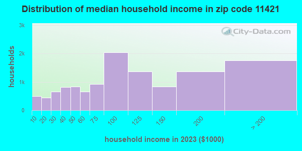 11421 Zip Code (New York, New York) Profile - homes, apartments ...