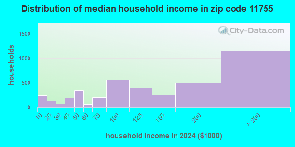 11755 Zip Code (Lake Grove, New York) Profile - homes, apartments ...