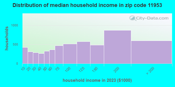 11953 Zip Code (Middle Island, New York) Profile - homes, apartments ...