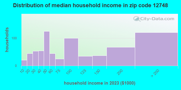 12748 Zip Code (Jeffersonville, New York) Profile - homes, apartments ...