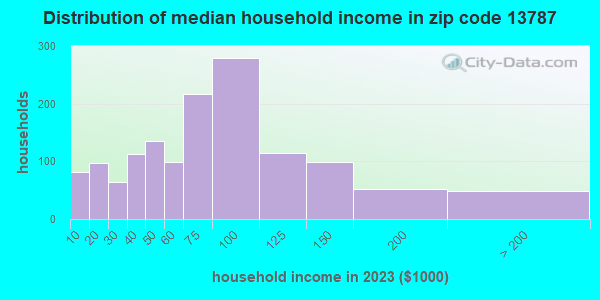 13787 Zip Code (New York) Profile - homes, apartments, schools ...