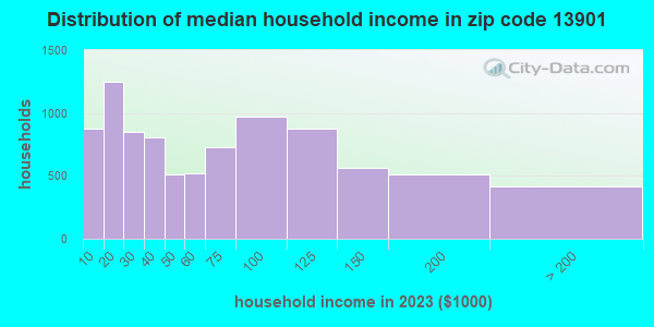 13901 Zip Code (Chenango Bridge, New York) Profile - homes, apartments ...