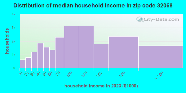 32068 Zip Code (Middleburg, Florida) Profile - homes, apartments ...