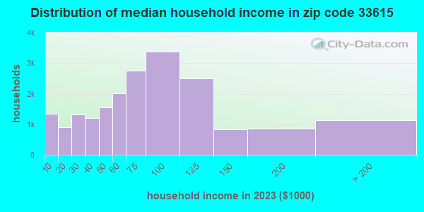 33615 Zip Code (Town 'n' Country, Florida) Profile - homes, apartments ...