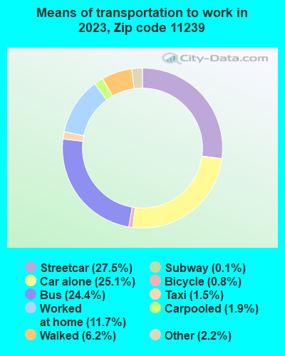 11239 Zip Code (New York, New York) Profile - homes, apartments ...