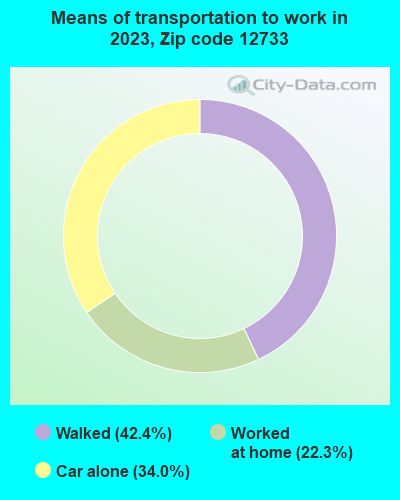 12733 Zip Code (South Fallsburg, New York) Profile - homes, apartments ...