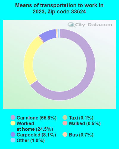 33624 Zip Code (Carrollwood, Florida) Profile - homes, apartments ...
