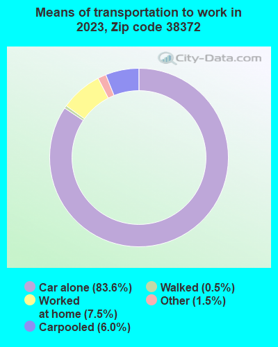 38372 Zip Code (Savannah, Tennessee) Profile - homes, apartments ...