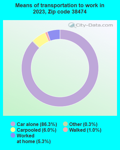 38474 Zip Code (Mount Pleasant, Tennessee) Profile - homes, apartments ...