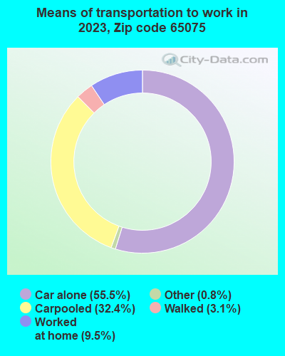 65075 Zip Code (St. Elizabeth, Missouri) Profile - homes, apartments ...
