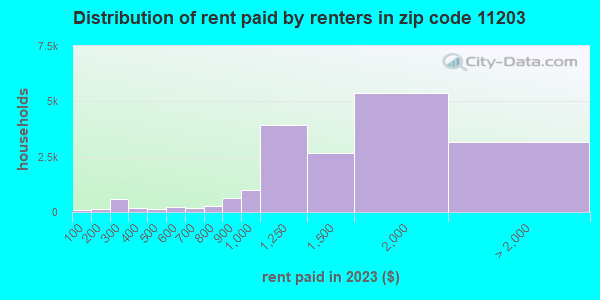 11203 Zip Code (New York, New York) Profile - homes, apartments ...
