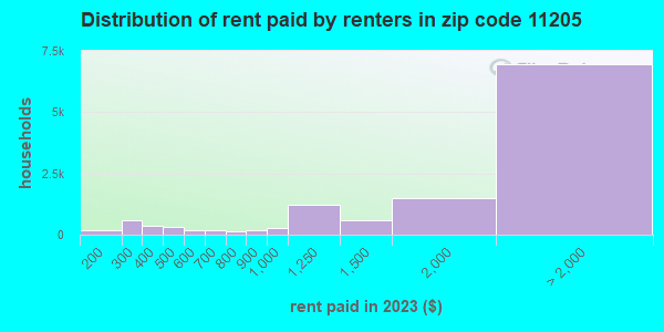 11205 Zip Code (New York, New York) Profile - homes, apartments ...