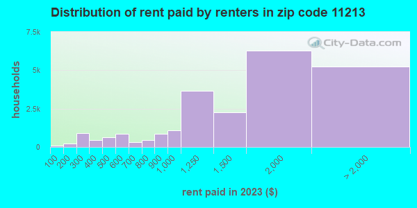 11213 Zip Code (New York, New York) Profile - homes, apartments ...