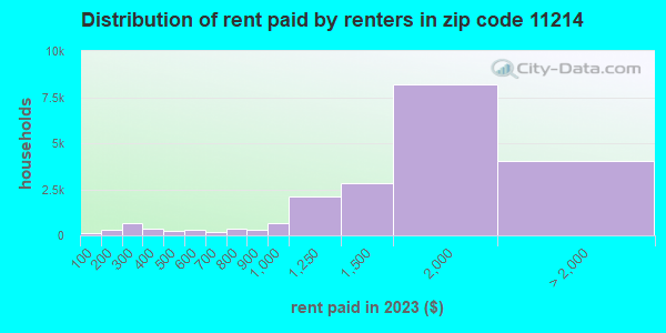 11214 Zip Code (New York, New York) Profile - homes, apartments ...