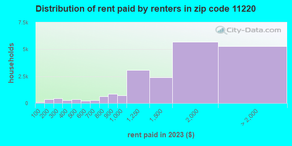 11220 Zip Code (New York, New York) Profile - homes, apartments ...
