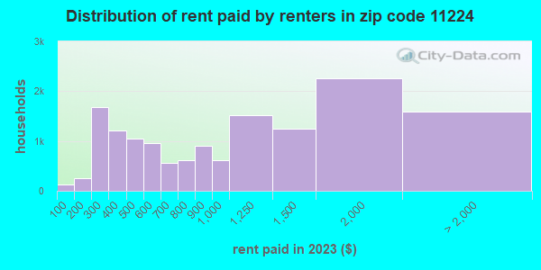 11224 Zip Code (New York, New York) Profile - homes, apartments ...