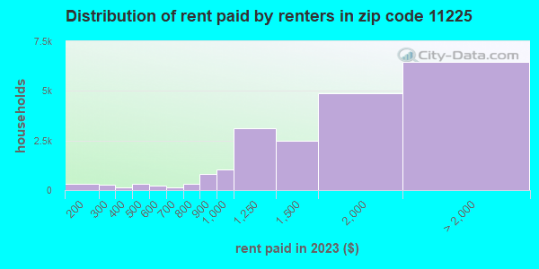 11225 Zip Code (New York, New York) Profile - homes, apartments ...
