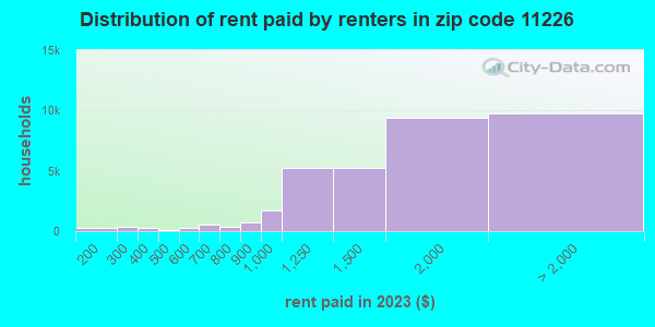 11226 Zip Code (New York, New York) Profile - homes, apartments ...
