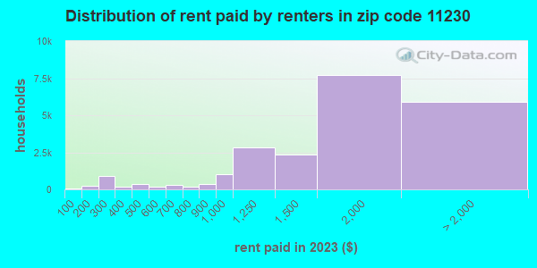 11230 Zip Code (New York, New York) Profile - homes, apartments ...