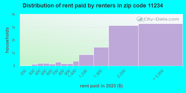 11234 Zip Code (New York, New York) Profile - homes, apartments ...