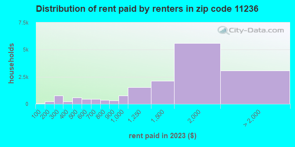 11236 Zip Code (New York, New York) Profile - homes, apartments ...