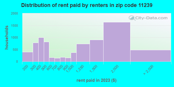 11239 Zip Code (New York, New York) Profile - homes, apartments ...