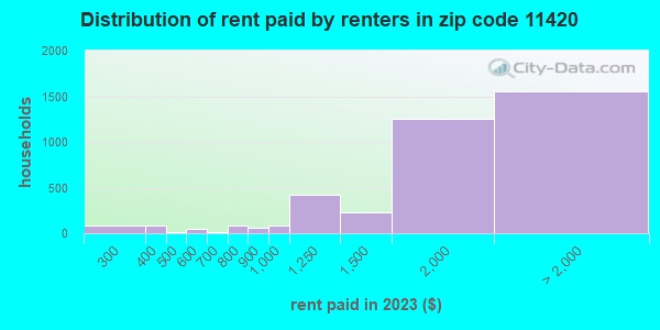 11420 Zip Code (New York, New York) Profile - homes, apartments ...