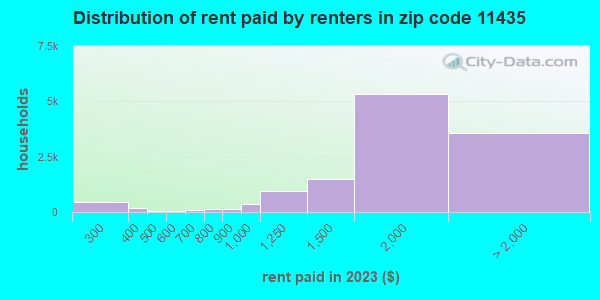 11435 Zip Code (New York, New York) Profile - homes, apartments ...