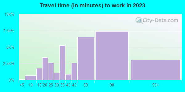 11220 Zip Code (New York, New York) Profile - homes, apartments ...