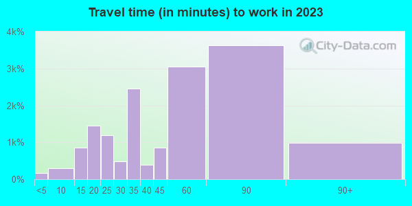 11228 Zip Code (New York, New York) Profile - homes, apartments ...