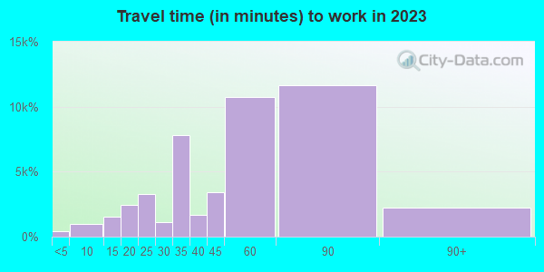 11385 Zip Code (New York, New York) Profile - homes, apartments ...