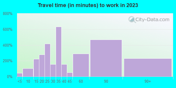 11507 Zip Code (Albertson, New York) Profile - homes, apartments ...