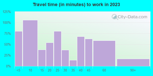 13122 Zip Code (New York) Profile - homes, apartments, schools ...